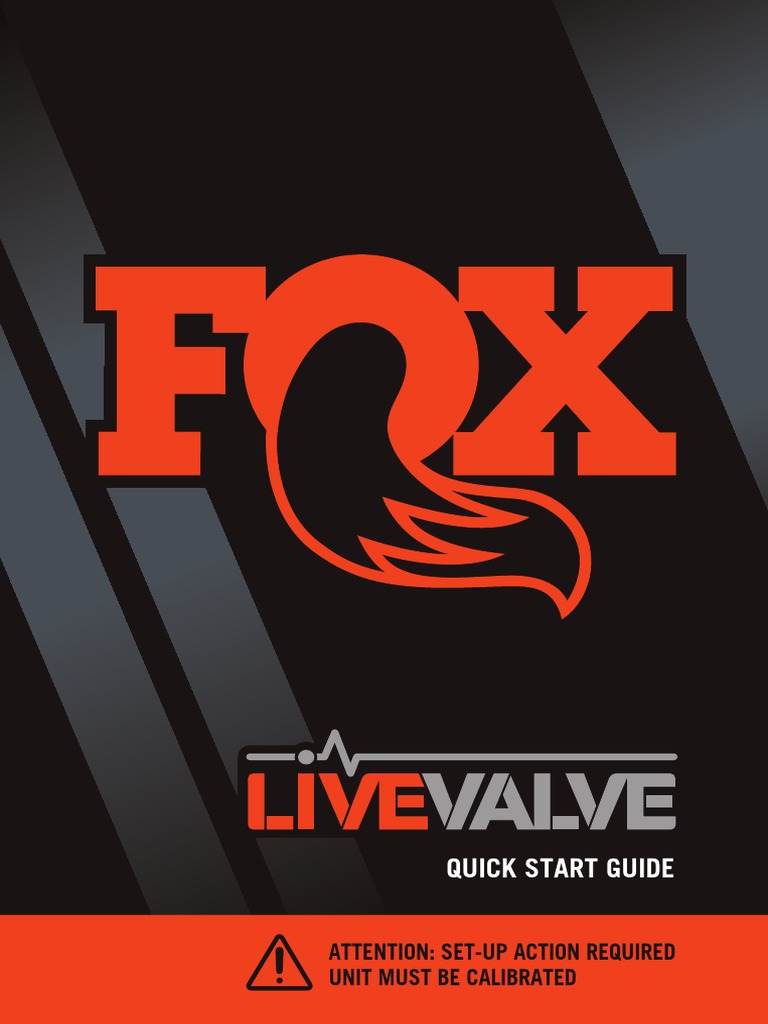 Live Valve Setup Guide for Mechanics | PDF | Calibration | Manufactured ...