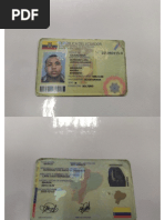 Dni David en Color | PDF