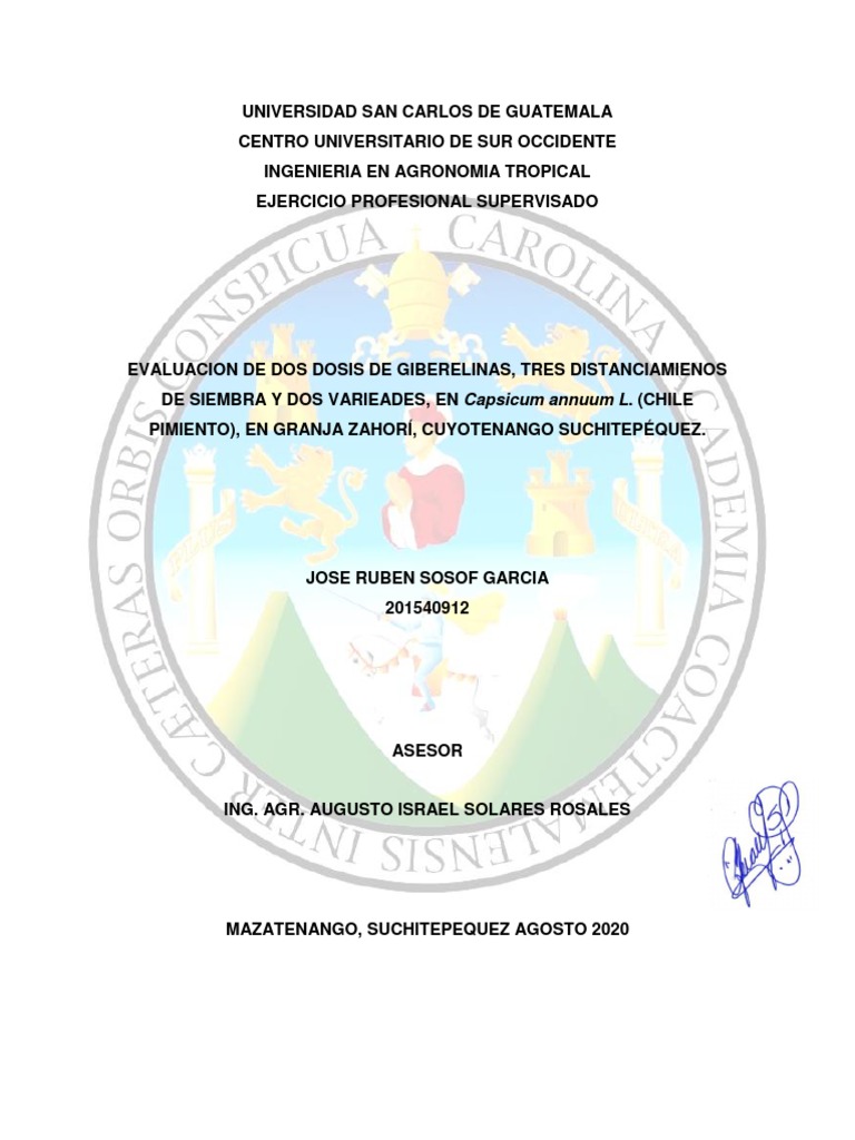 Sosof Ruben Plan de Investigación. | PDF | Agricultura | Pimiento