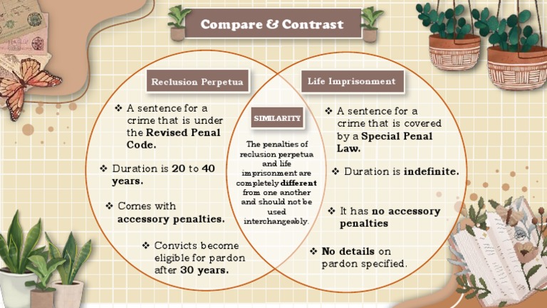 Broñola - Compare & Contrast | PDF
