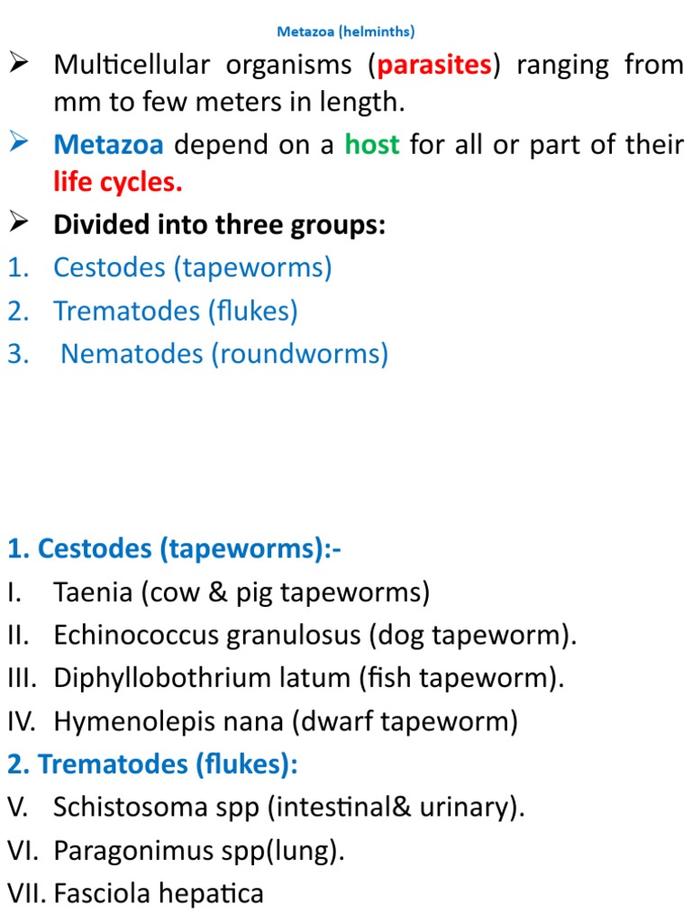 Cestodes | PDF | Diseases And Disorders | Clinical Medicine