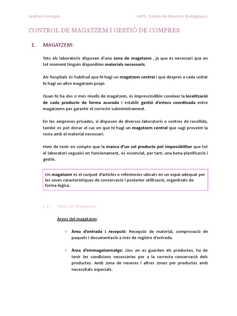 Control de Magatzem I Gestió de Compres | PDF
