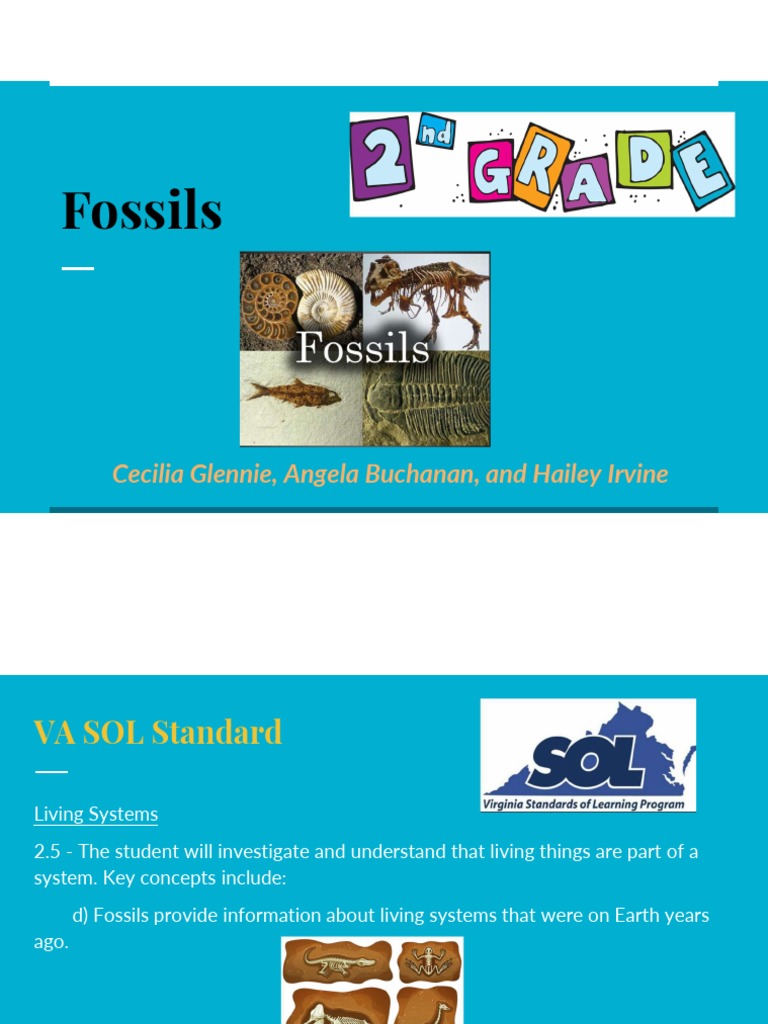 Easc 300 - Fossils Powerpoint | PDF
