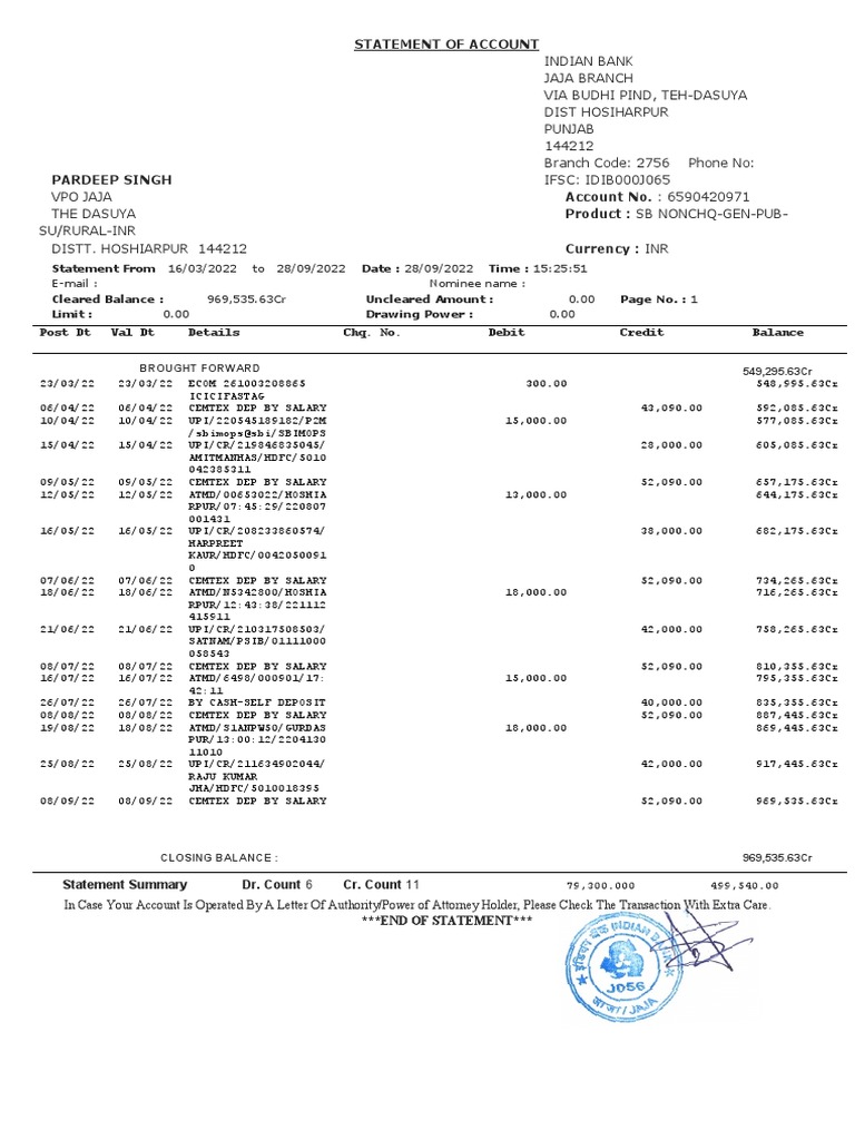 Bank Statement Pardeep | PDF | Economies | Banks