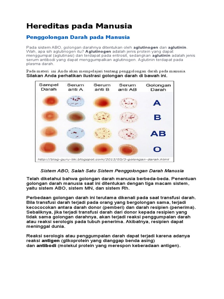 Materi Sistem Golongan Darah | PDF