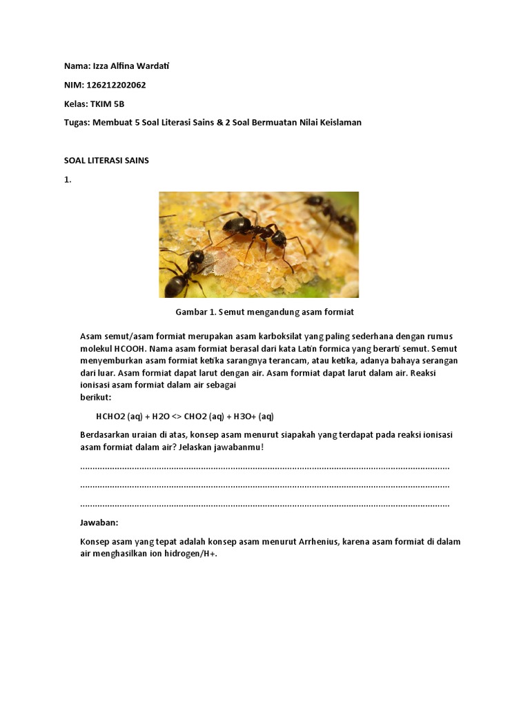 Izza Alfina Wardati - Membuat Soal Literasi Sains & KSM | PDF | Sains & Matematika