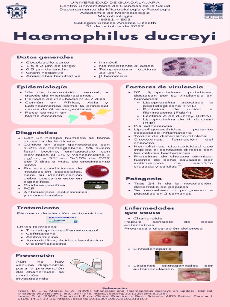 Infografía Haemophilus Ducreyi | PDF | Ciencias de la Salud ...