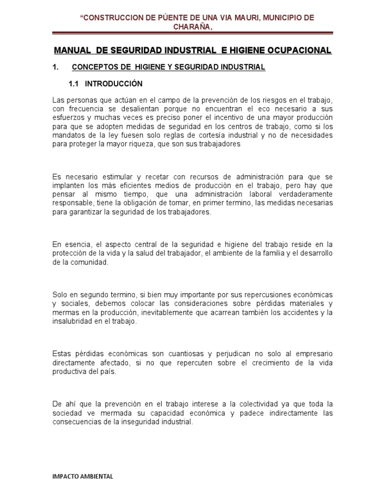 Manual de Seguridad Industrial | PDF