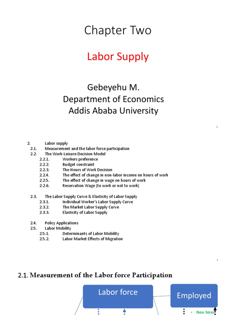 Labor Ecos Chapter 2 | PDF | Labour Economics | Utility