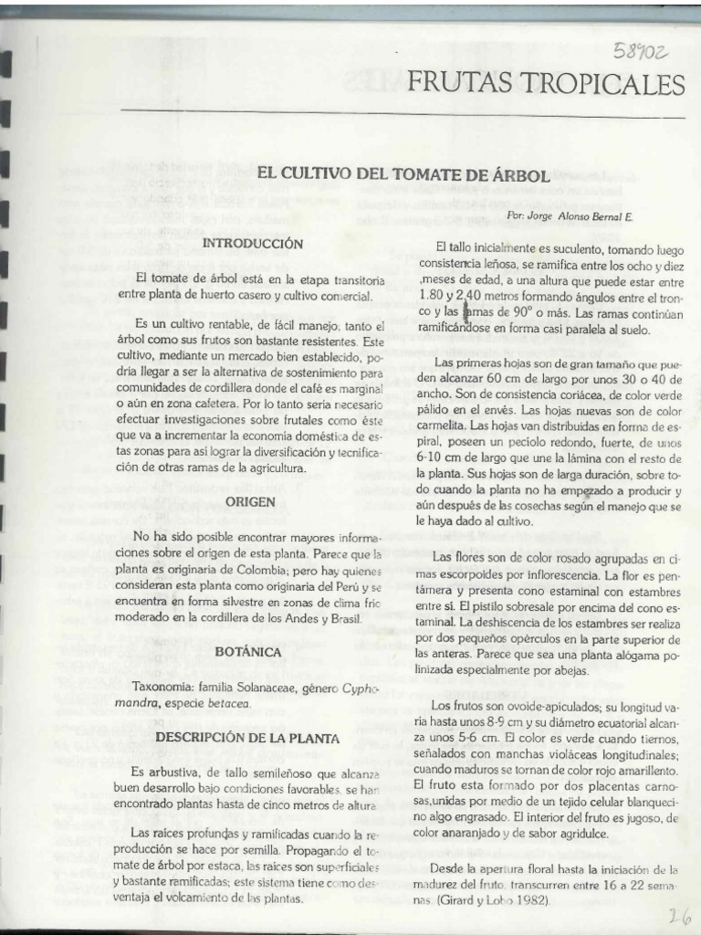 Sacha Tomate Libro PDF | PDF