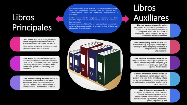 Libros principales y auxiliares | PDF | Contabilidad | Business
