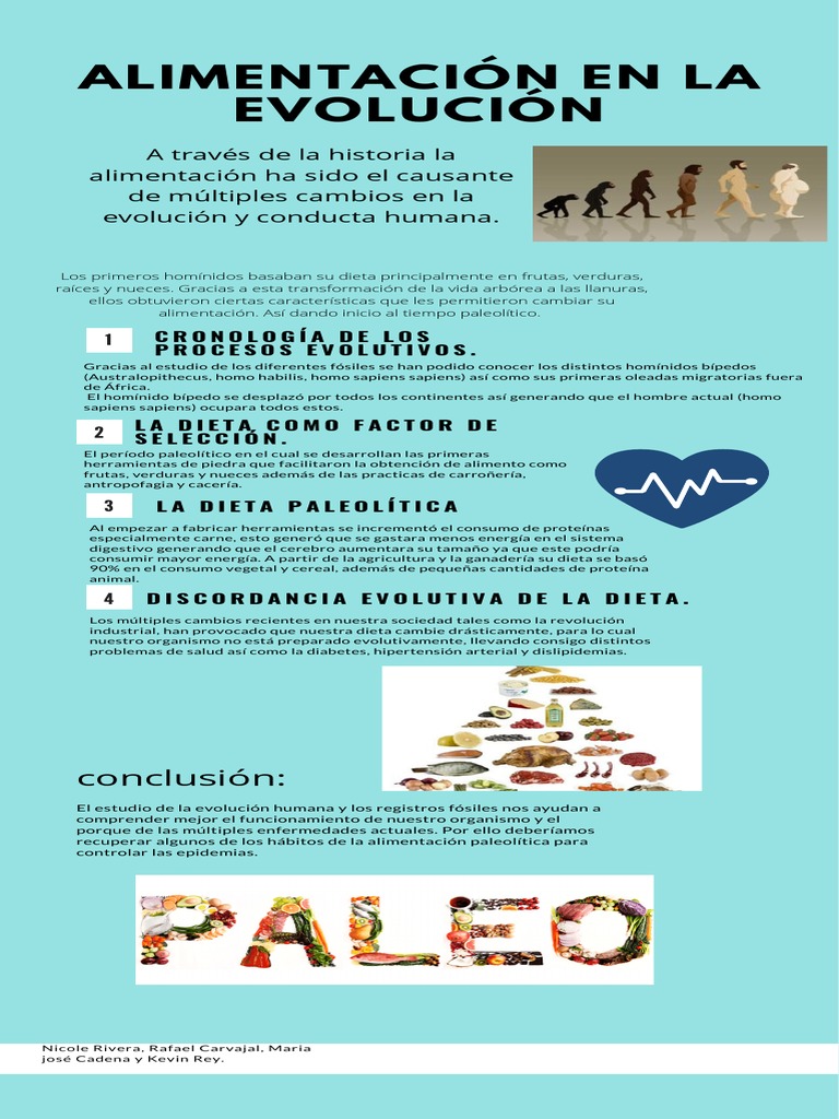 Alimentación en La Evolución | PDF | Dieta | Homo