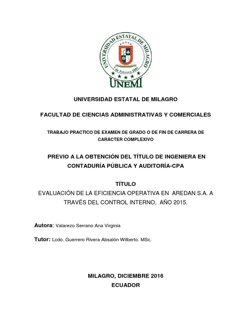Evaluación de La Eficiencia Operativa en Aredan S.A. A Través Del ...