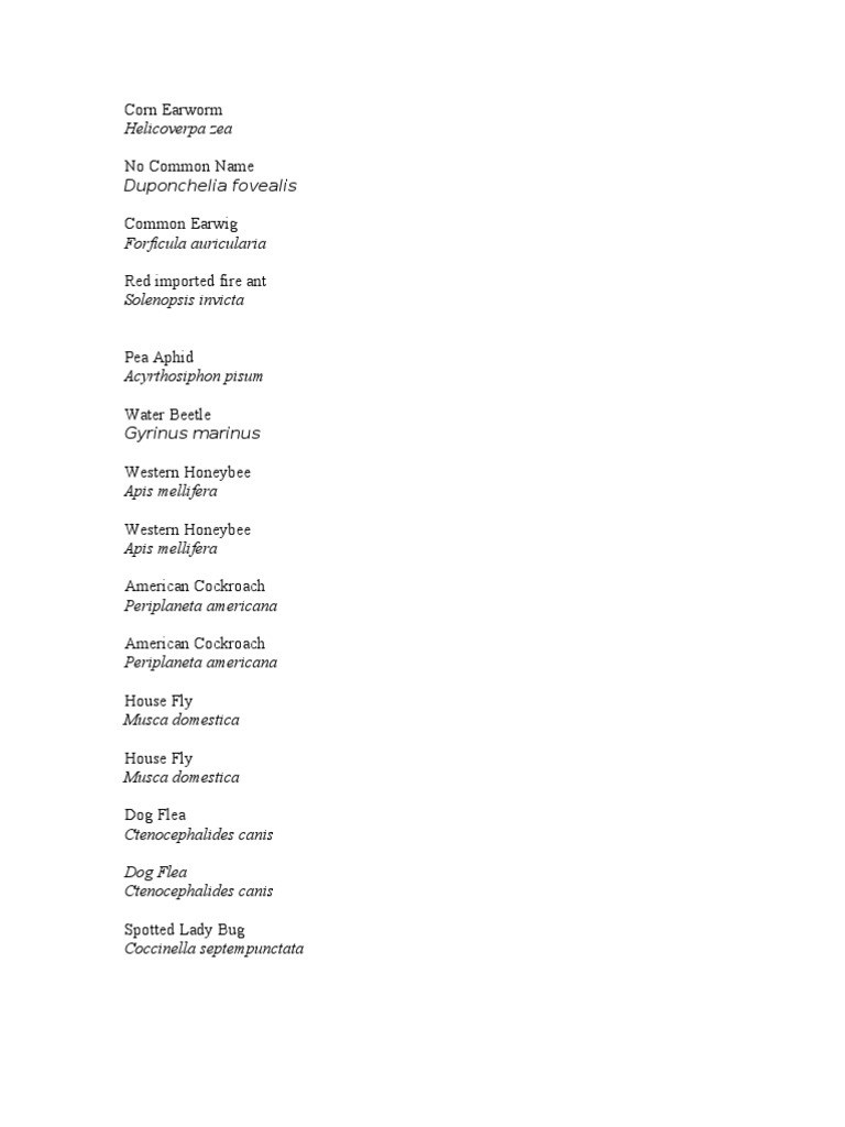Insect Species and Scientific Names List | PDF