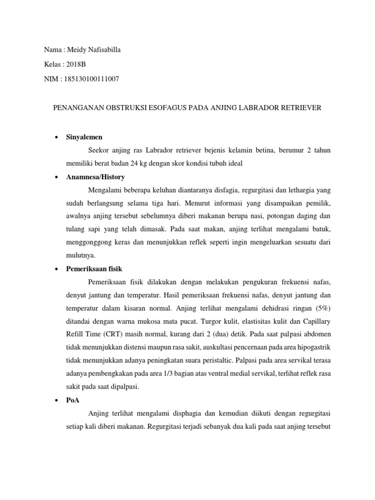 Meidy N 2018b Poa Digesti | PDF | Kesehatan Holistik