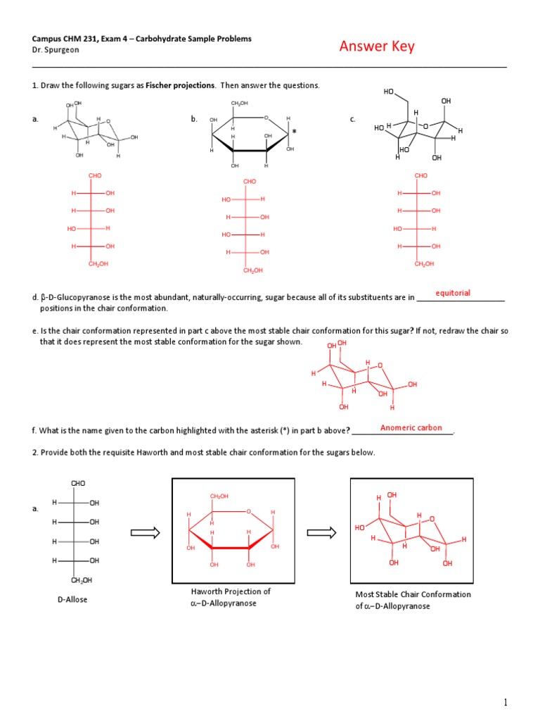 Exam 4 Carbohydrate Sample Problems Key | PDF | Carbohydrates ...