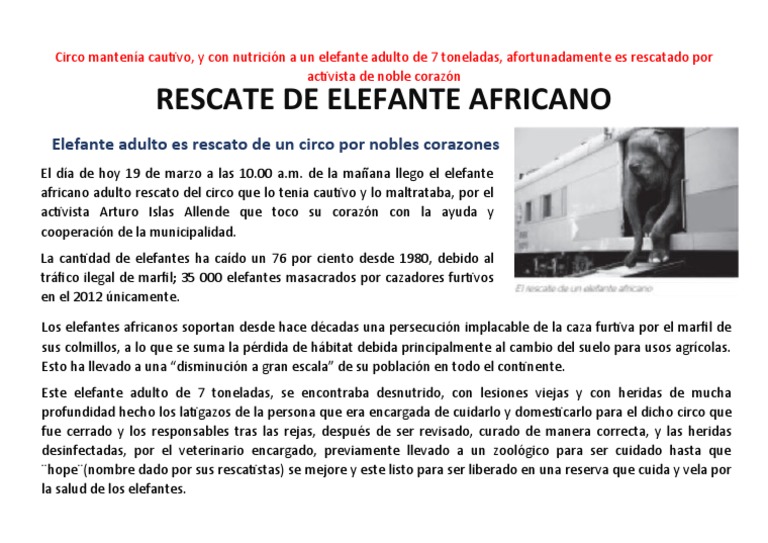 RESCATE DE ELEFANTE AFRICANO | PDF