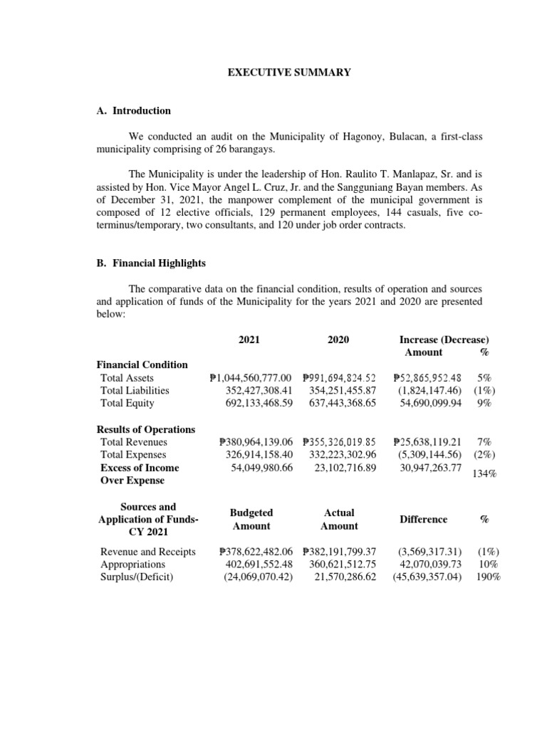 Hagonoy Executive Summary 2021 | PDF | Audit | Regulatory Compliance