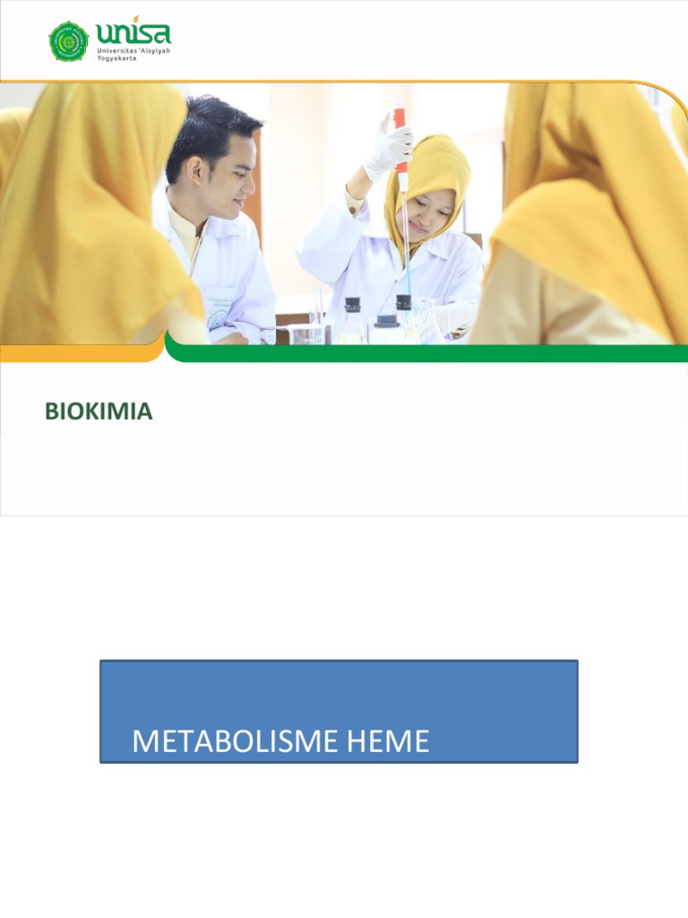 Biokimia - Metabolisme Heme | PDF