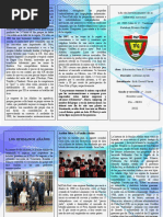 Infografía de Big Cola | PDF