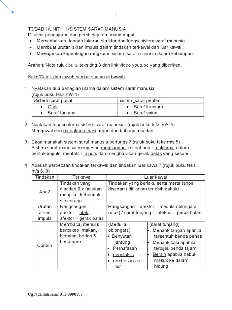 Modul Sains Ting.3.Jawapan | PDF