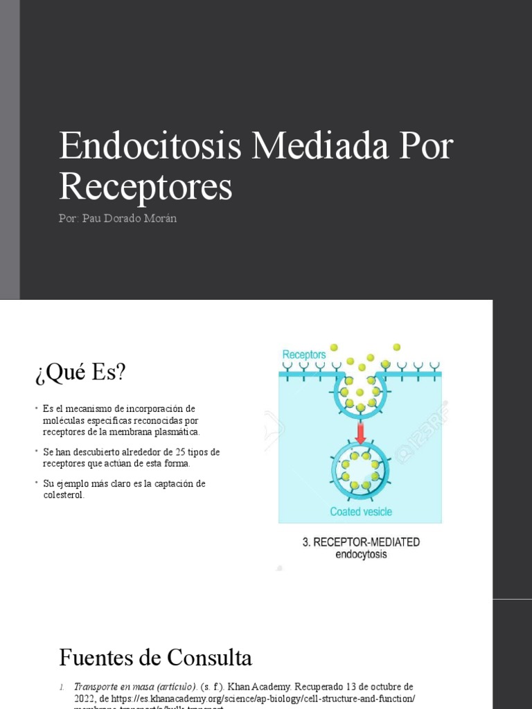Endocitosis Mediada Por Receptores | PDF | Ciencias sociales