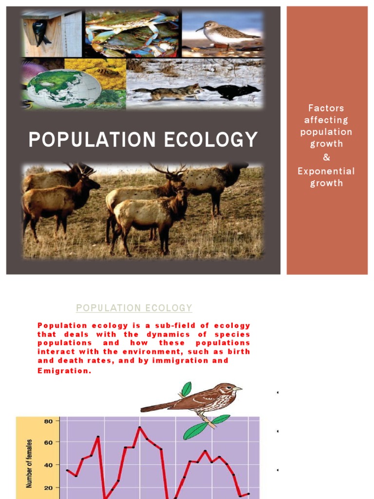 Population Ecology | PDF | Environmental Science | Natural Environment