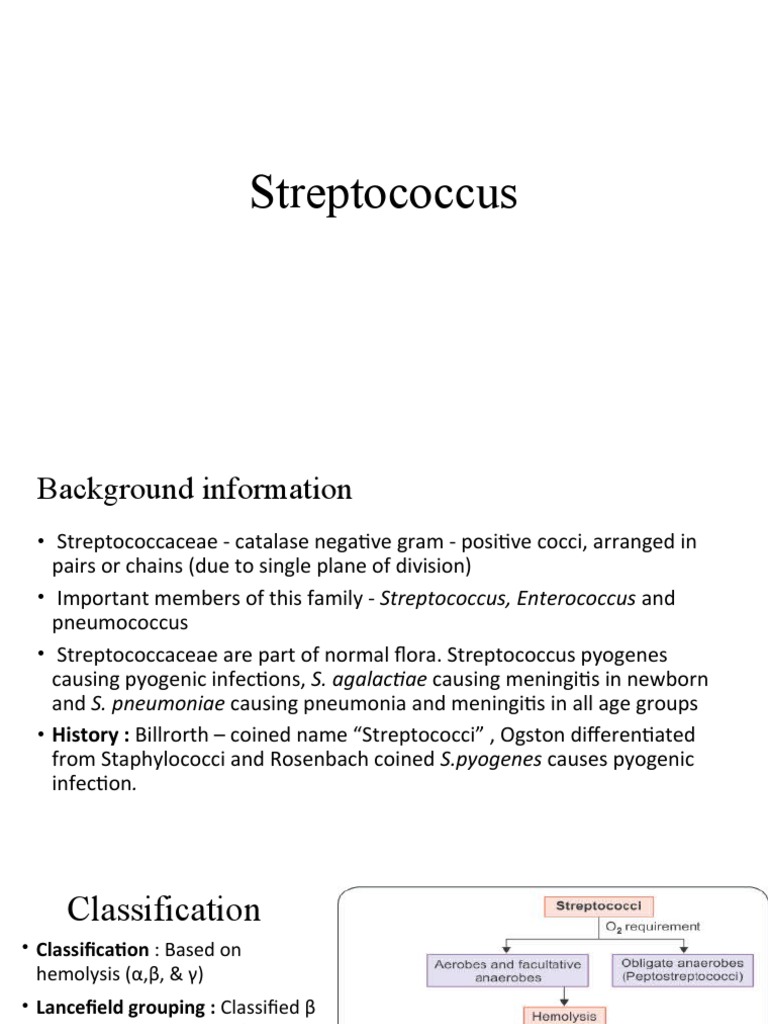 Streptococcus | PDF | Streptococcus | Immunology