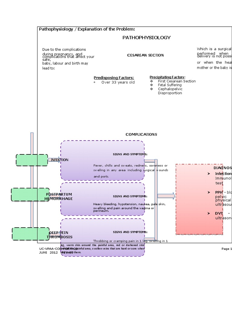 Pathophysiology / Explanation of The Problem | PDF | Childbirth ...