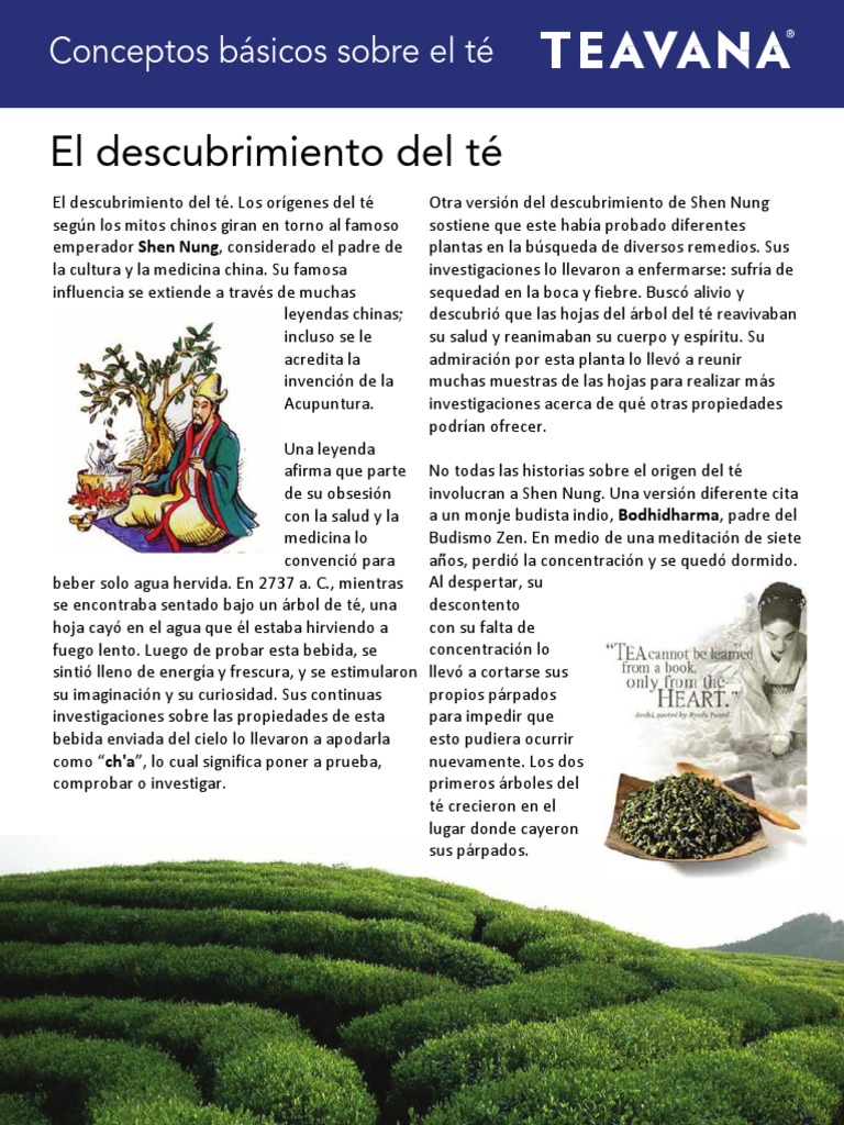 ES Tea Basics | PDF | Té | Cosecha