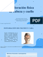 EXPLORACIÓN DE CARA Y CRÁNEO | PDF | Cráneo | Anatomía humana