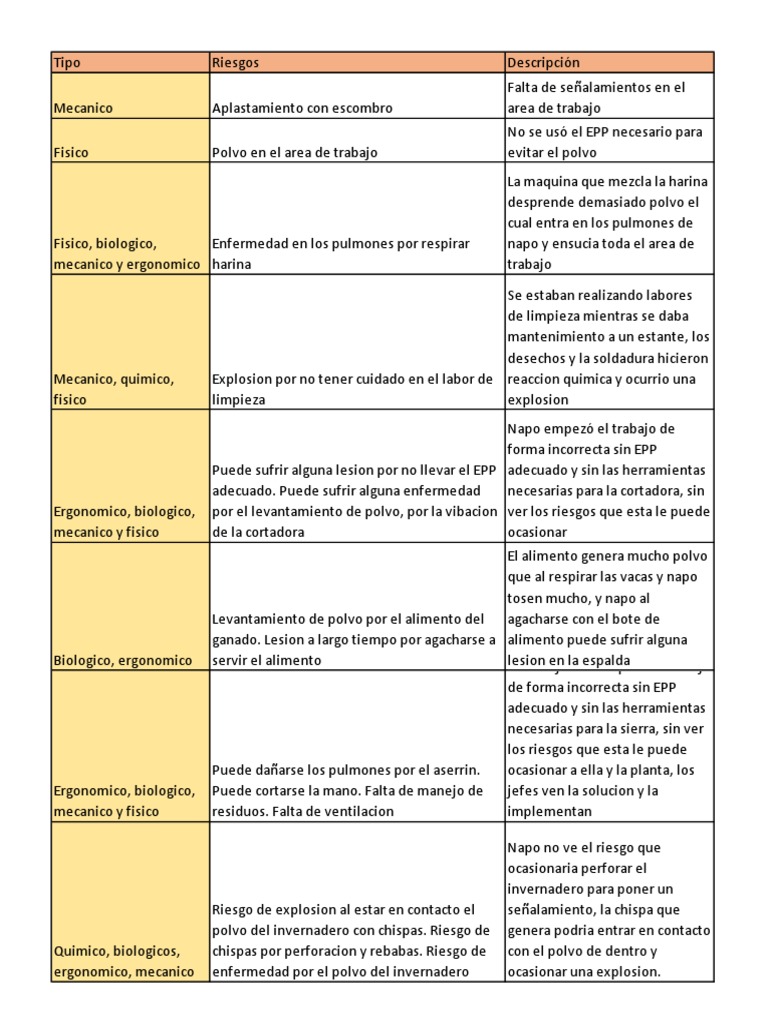 Tabla de Riesgos NAPO | PDF