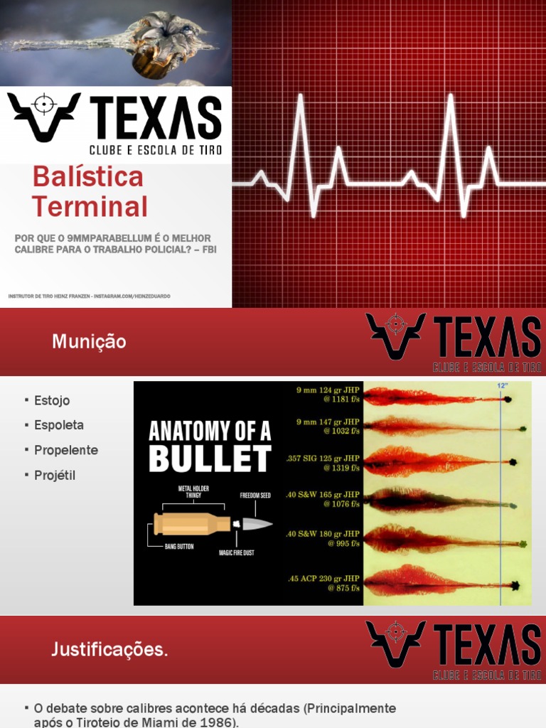 Aula de Balistica Terminal Feita Por Heinz Franzen | PDF