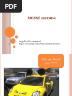 lt0001 Mouse Pup Appearance | PDF | Mammals