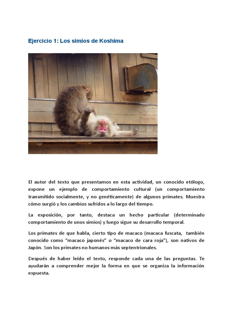 Ejercicios de Textos Expositivos | PDF