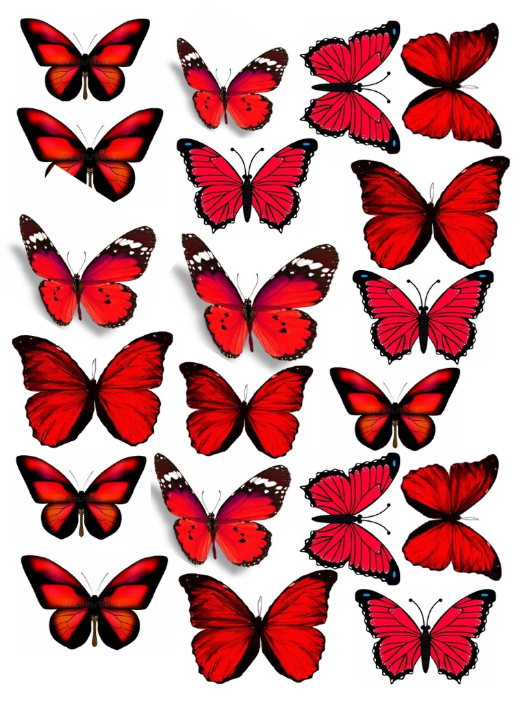 Mariposas Rojas | PDF