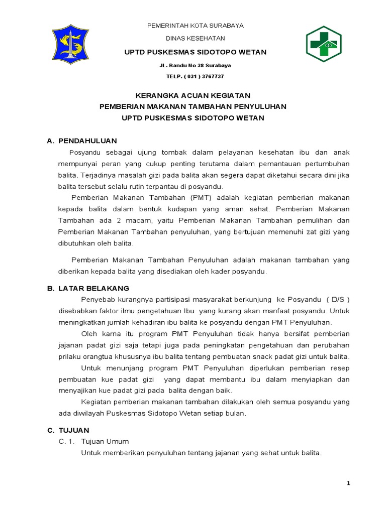 Kak PMT Penyuluhan | PDF