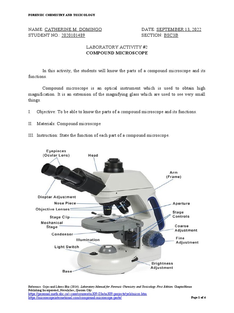 DOMINGO, Catherine M.-Laboratory Activity - 2 - Compound Microscope | PDF | Microscope ...