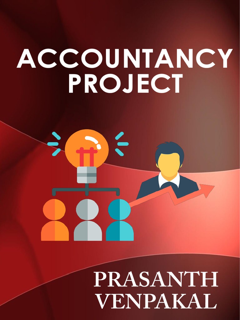 Accountancy Project With Segment Analysis | PDF