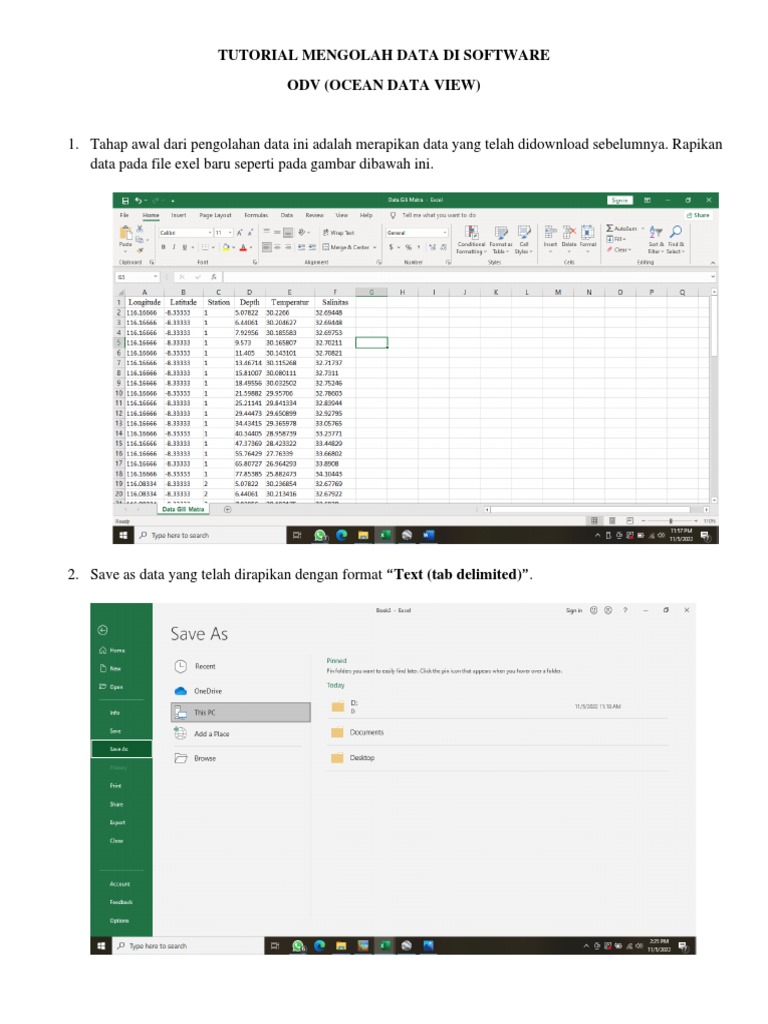 Tutorial Mengolah Data Di Software Odv | PDF
