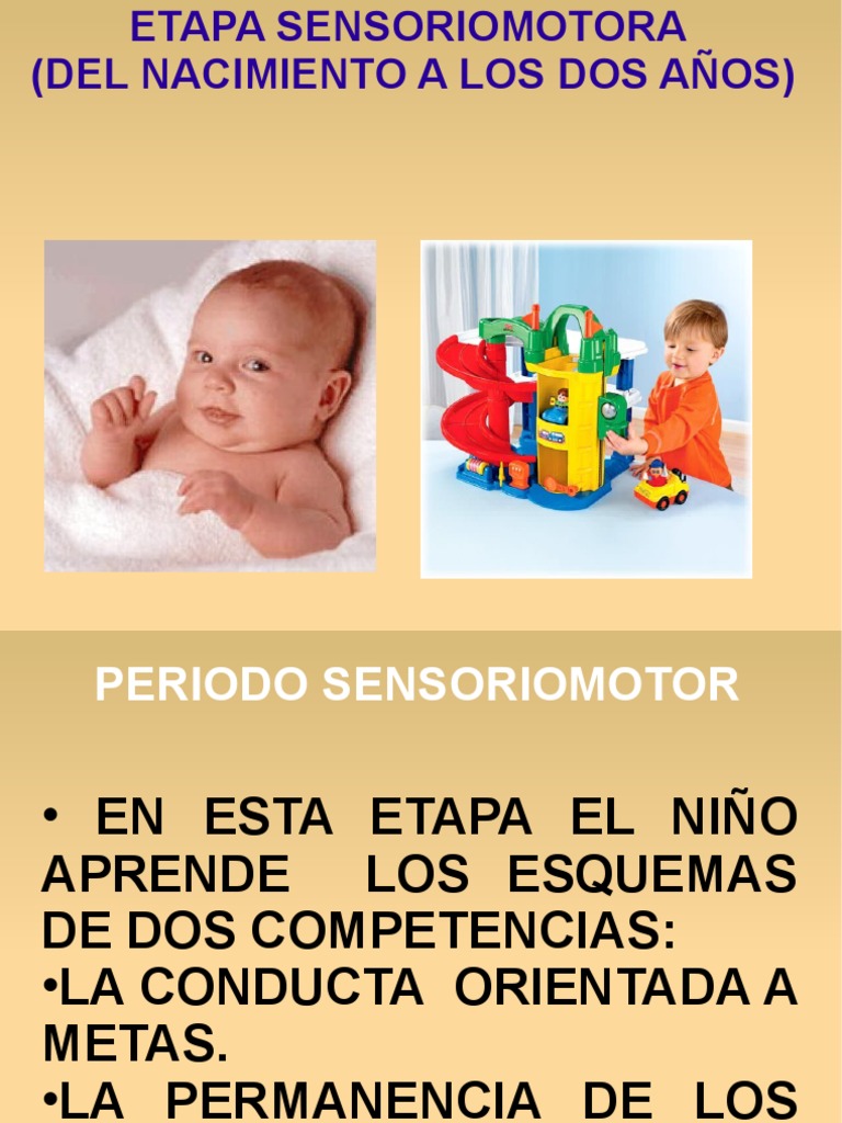 Etapa Sensoriomotora | PDF