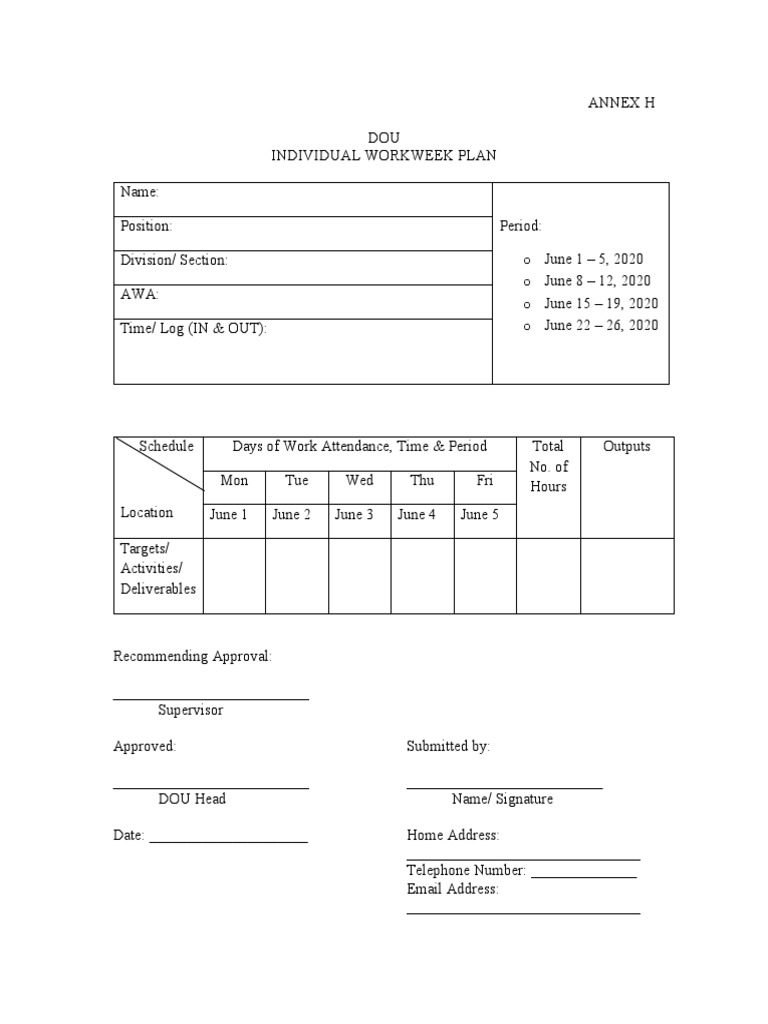 ANNEX H Individual Workweek Plan | PDF | Career & Growth | Finance & Money Management