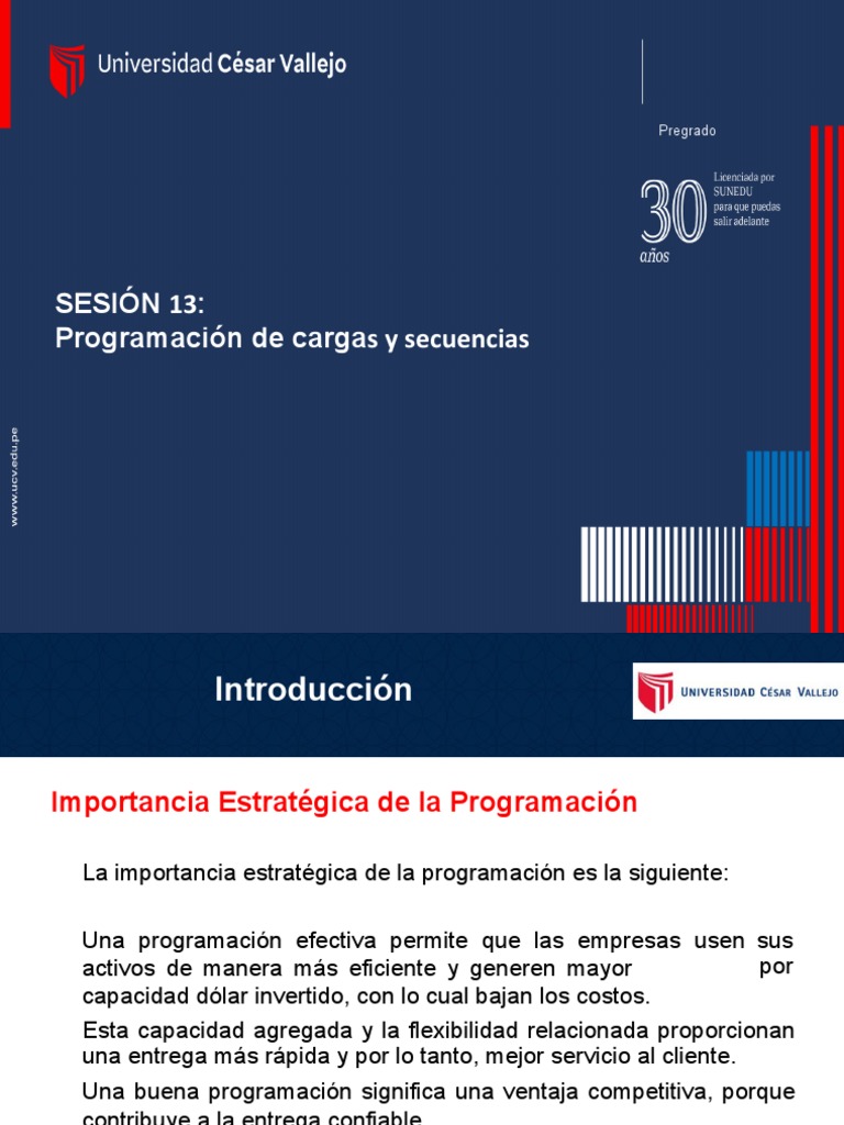 S-13 Programacion Asignacion Cargas | PDF | Inventario | Programación de computadoras