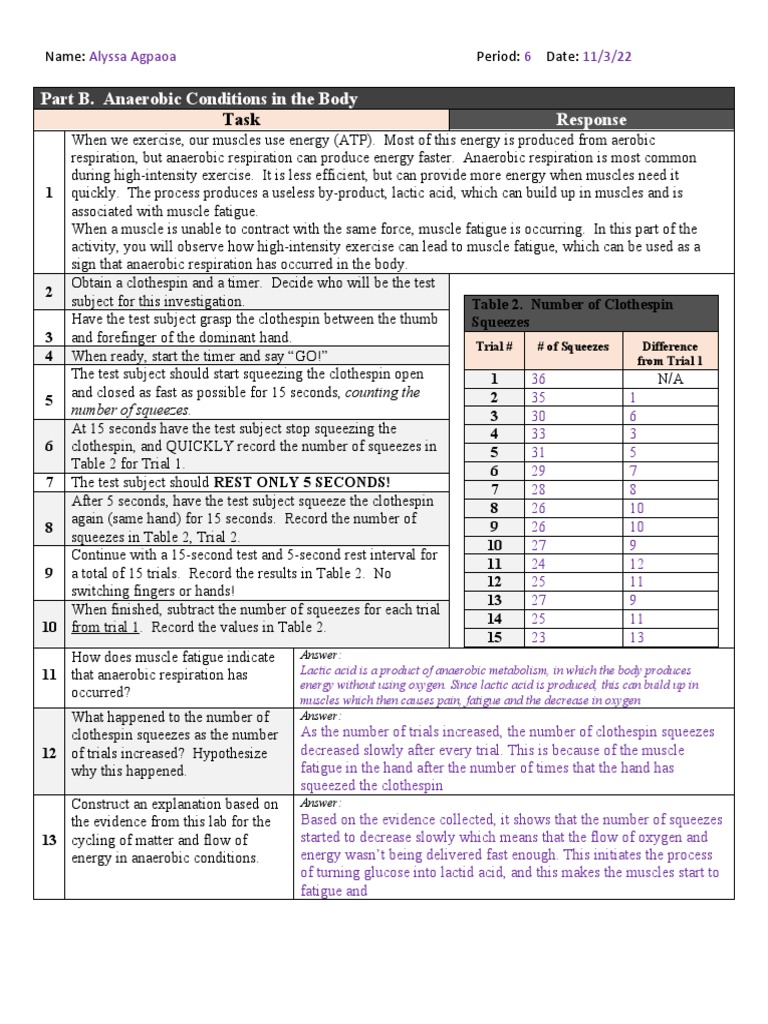 Anaerobic Conditions Clothespin Lab | PDF | Skeletal Muscle | Cellular ...