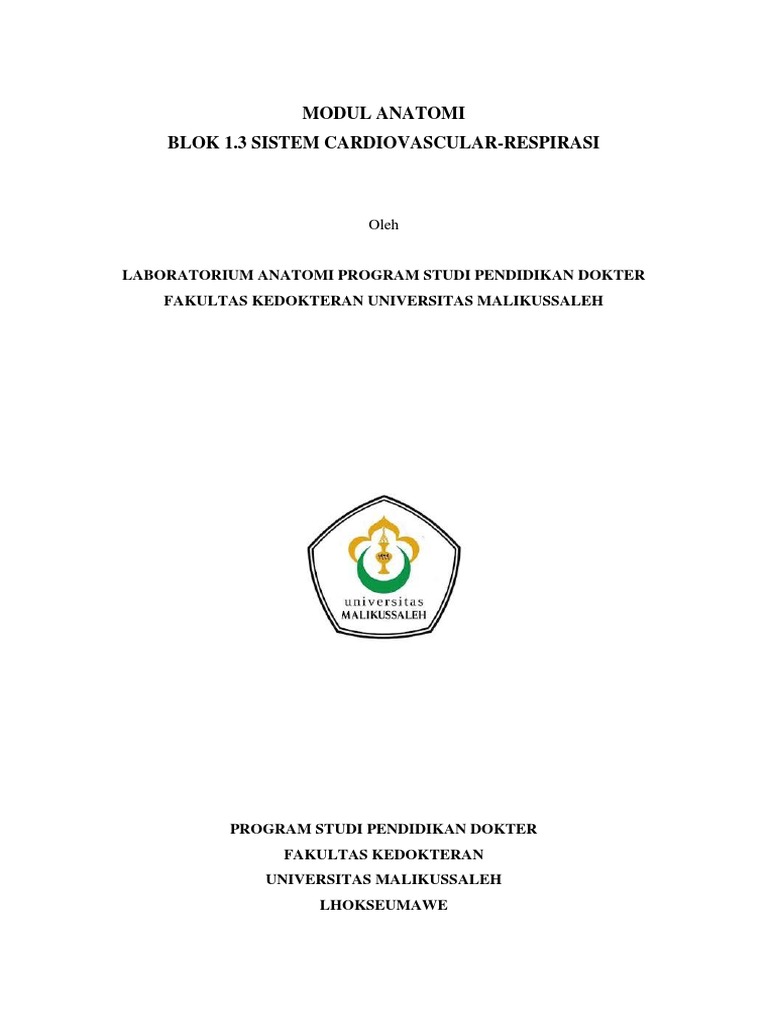 Vaskularisasi Sistem Peredaran Darah | PDF