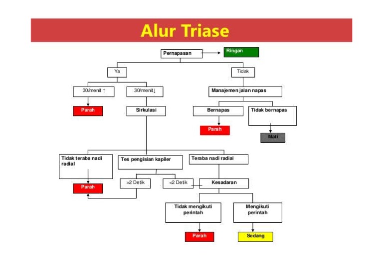 Alur Triase | PDF