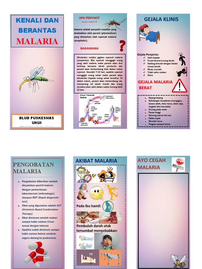 Leaflet Malaria | PDF