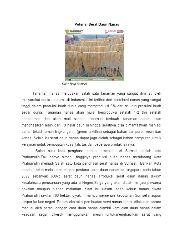 Potensi Serat Daun Nanas | PDF