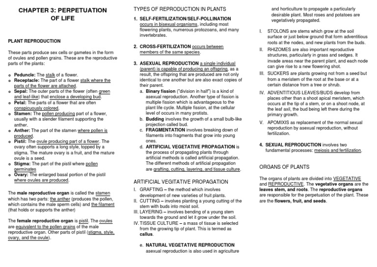 ELS - Plant Reproduction | PDF | Plant Reproduction | Flowers