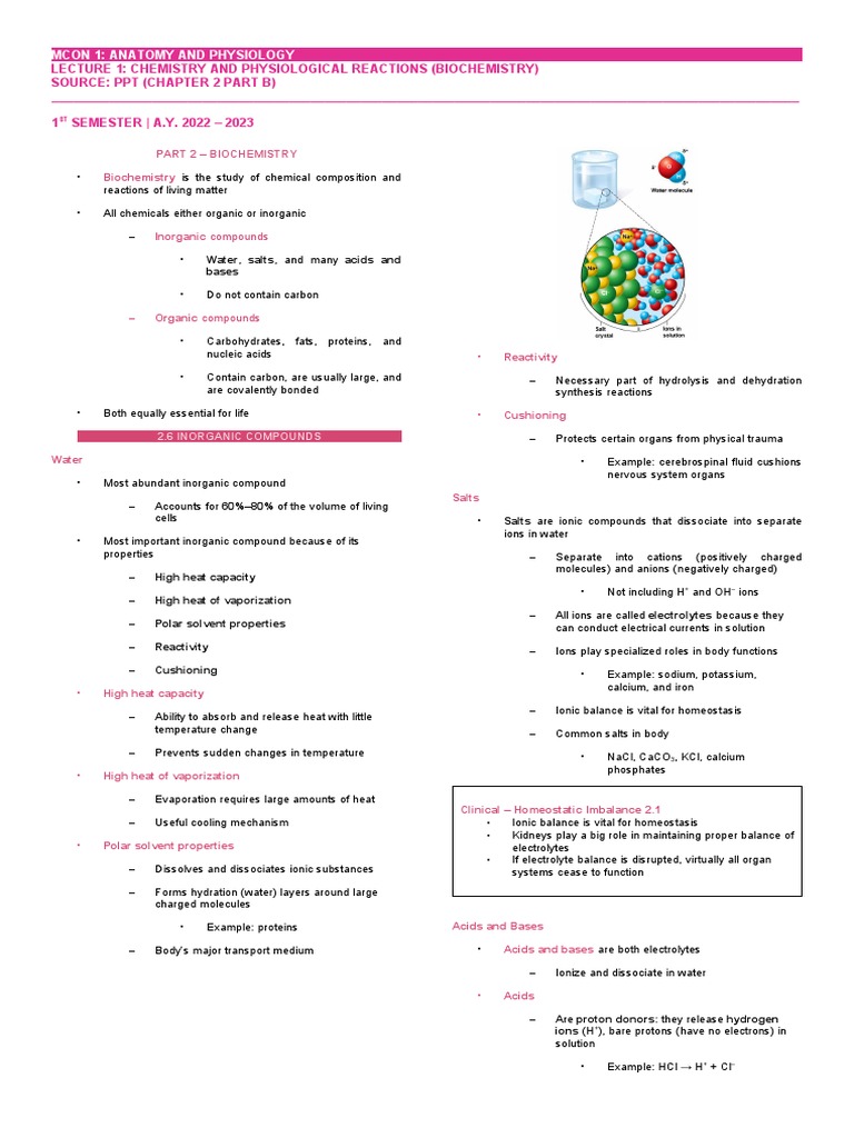Chemical and Physiological Reactions Part 2 Biochemistry | PDF ...